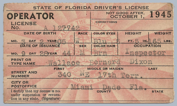 Rooted in Elizabeth: 2016