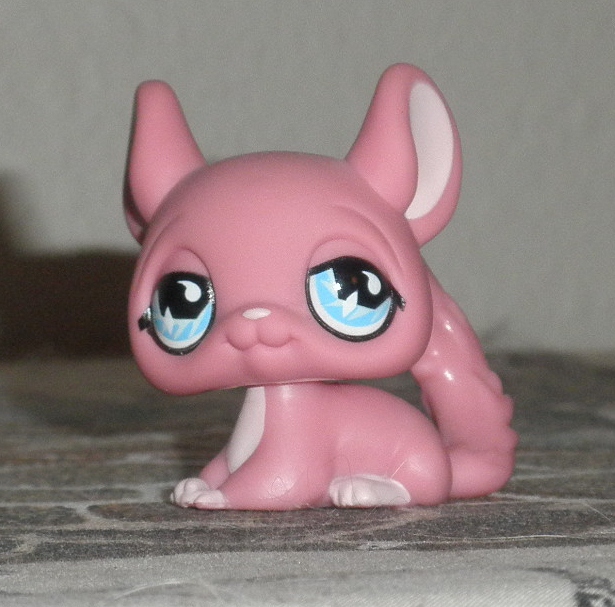 Collectomania: LPS Chinchillas