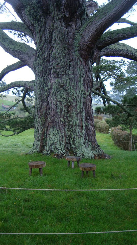 The Nuts and Bolts of a Washer: Hobbiton and The Maori Experience