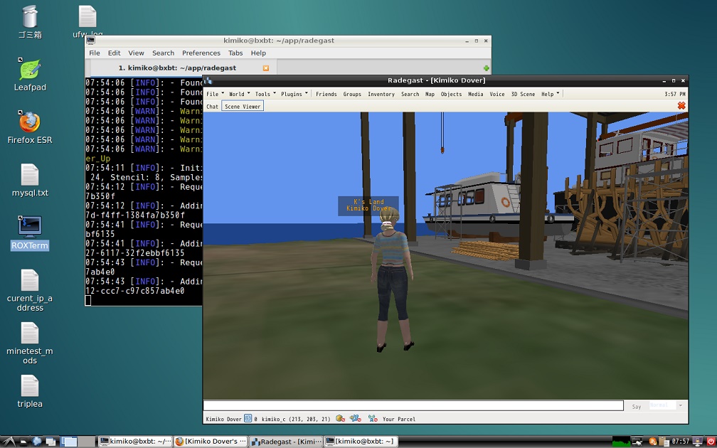 Diary in Second Life: 軽～いViewerの『Radegast』を入れてみました
