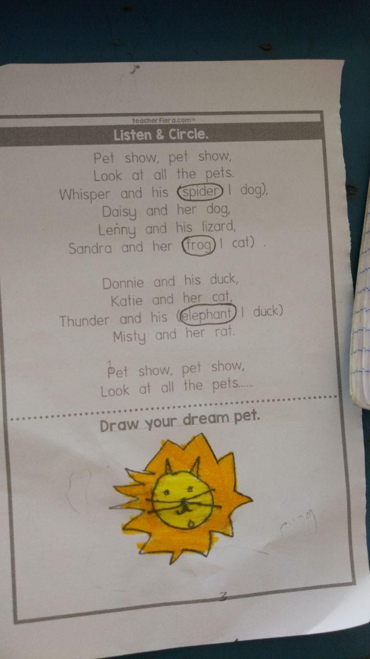 teacherfiera.com: YEAR 1 (2019) UNIT 3: PETS