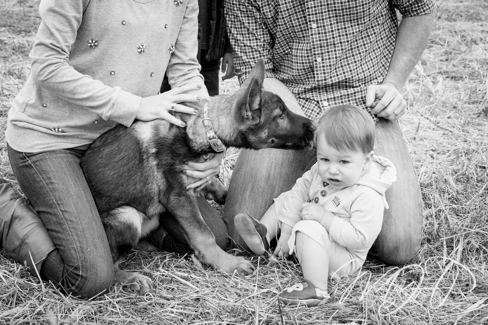 MHaas Photography: Brothers + Bulldozers | MHP Louisville, KY Family ...