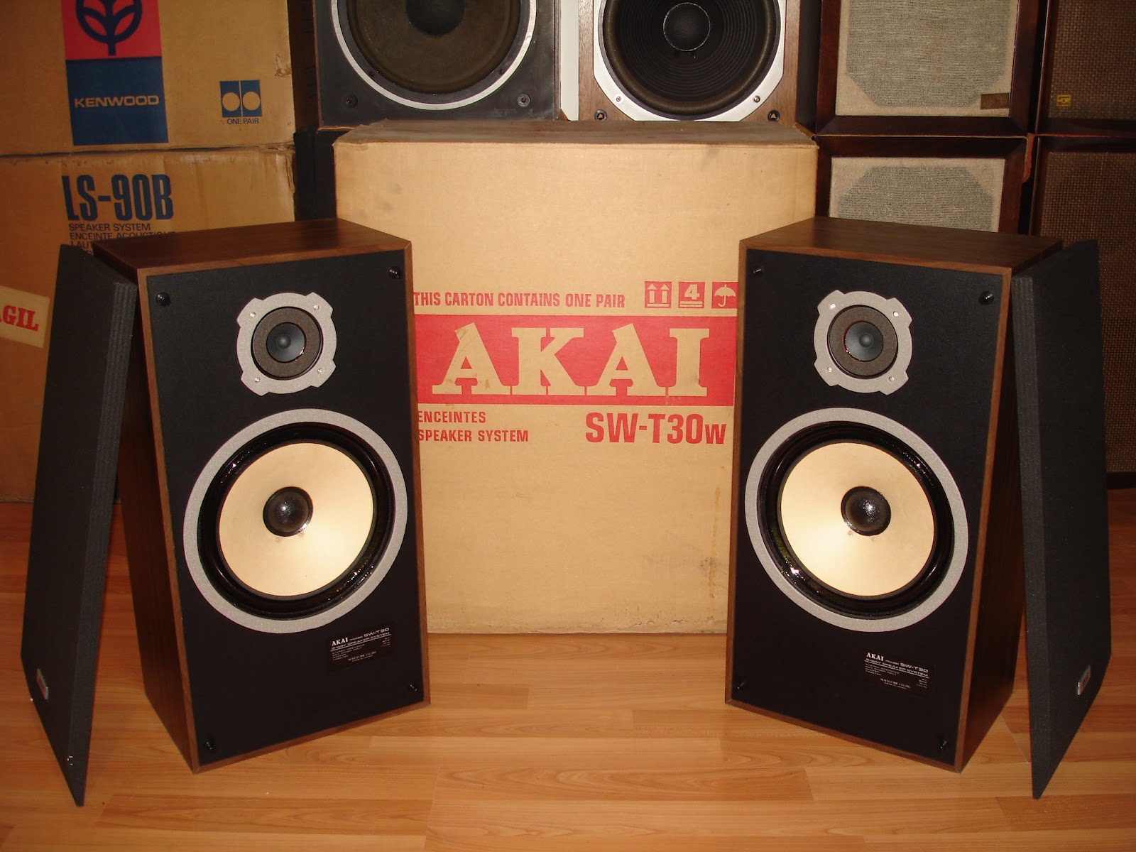 AUDIOGASTY: AKAI SW-T30