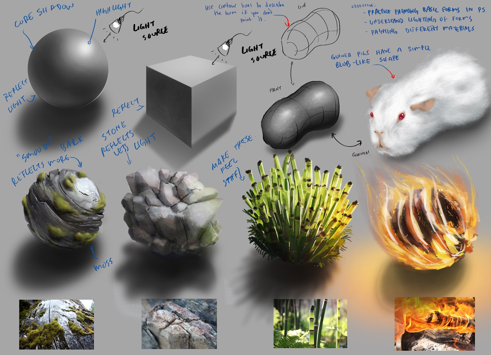 Tyler Chow: More Studies... more