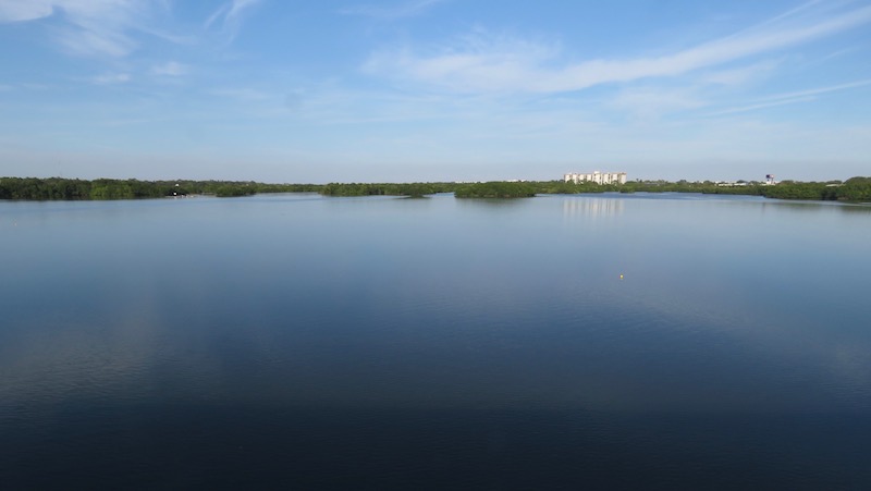 Birdernaturalist: 2017