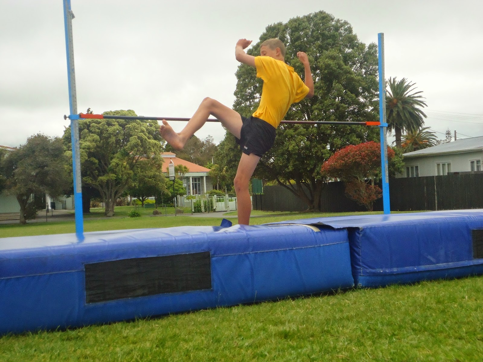 Room 5's Blog, Dargaville Intermediate School