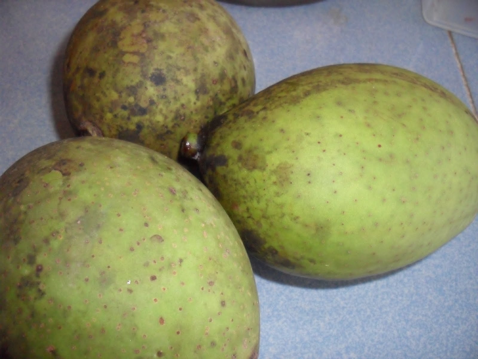 Mak Ngah Pora: Sambal buah macang