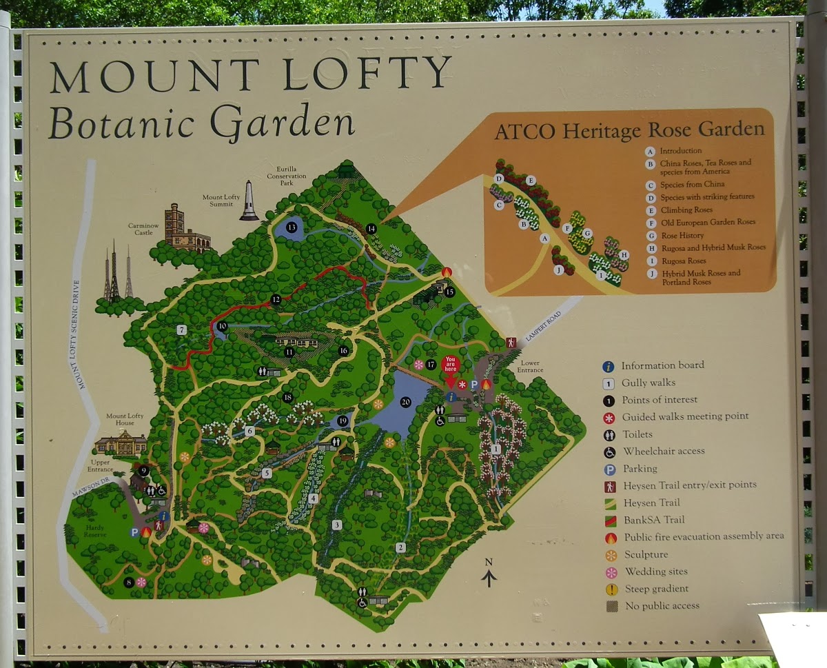 Meander to the Max: Shades of Green: Mount Lofty Botanic Gardens in early summer