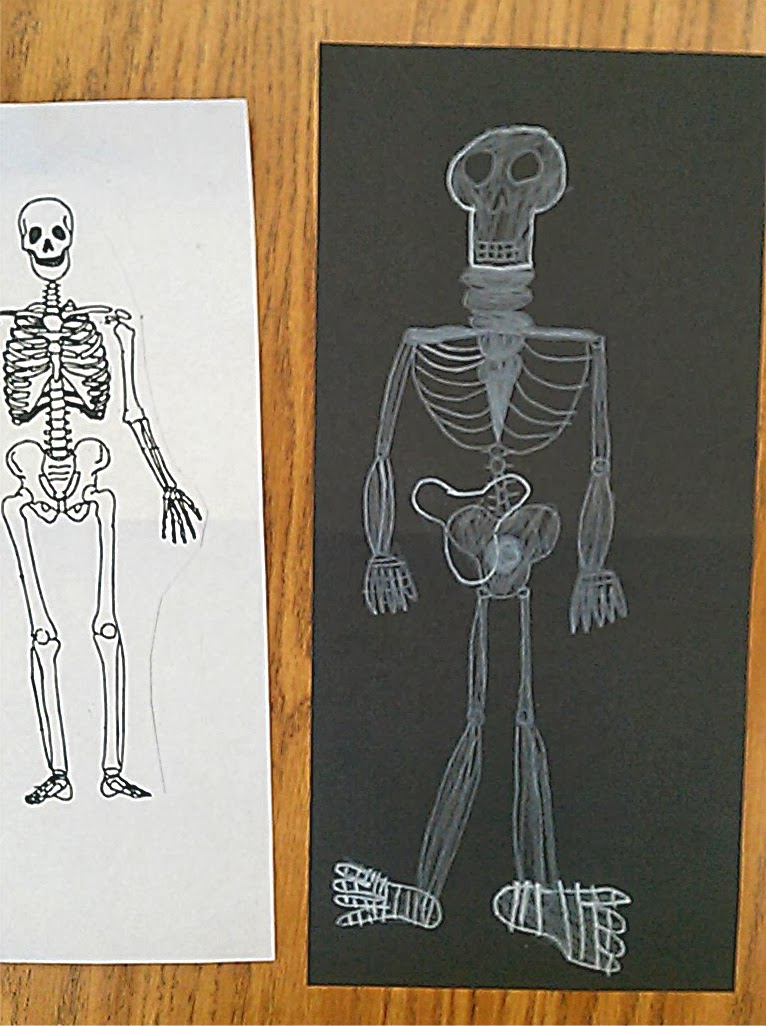 The David Lubin Art Studio: Meet Mr. Bones