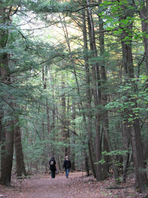 Red Rocks Park -South Burlington, Vermont | Litter with a Story To Tell