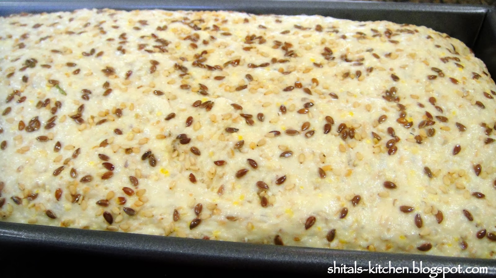 Shital's-Kitchen: 11-Grain Bread