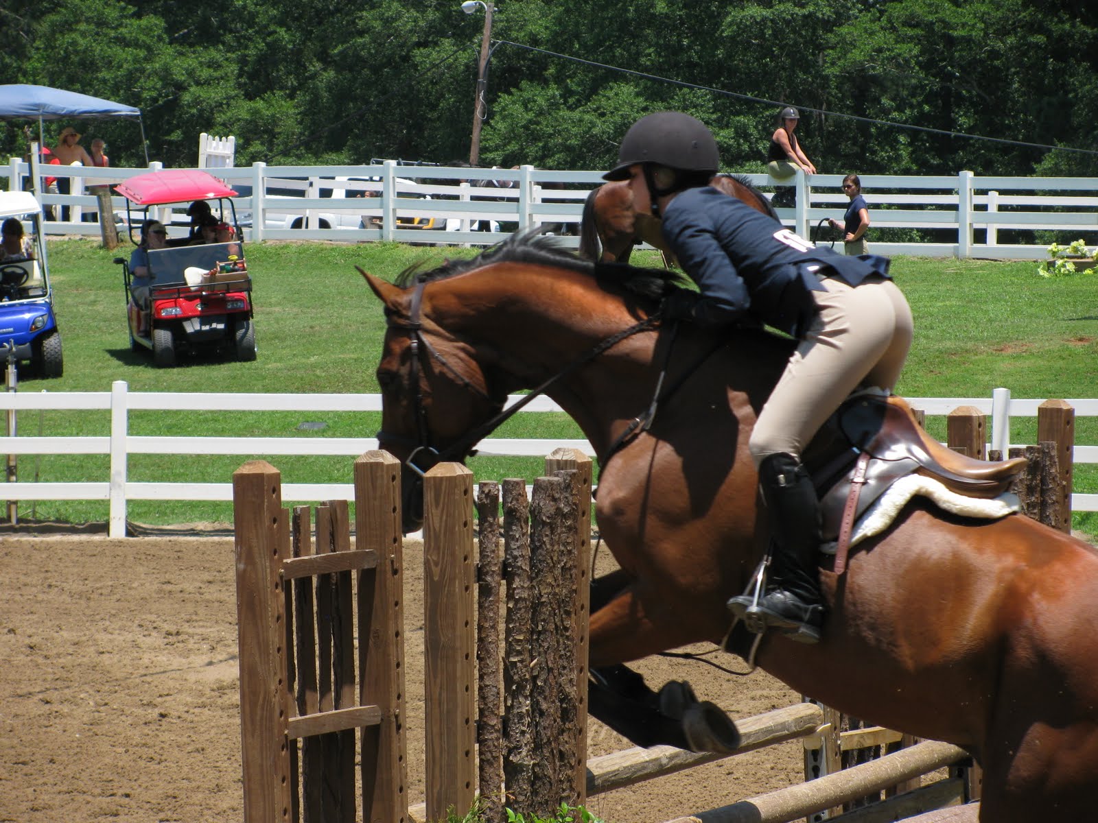 Girls and Thier Horses: Horse Show Jumping