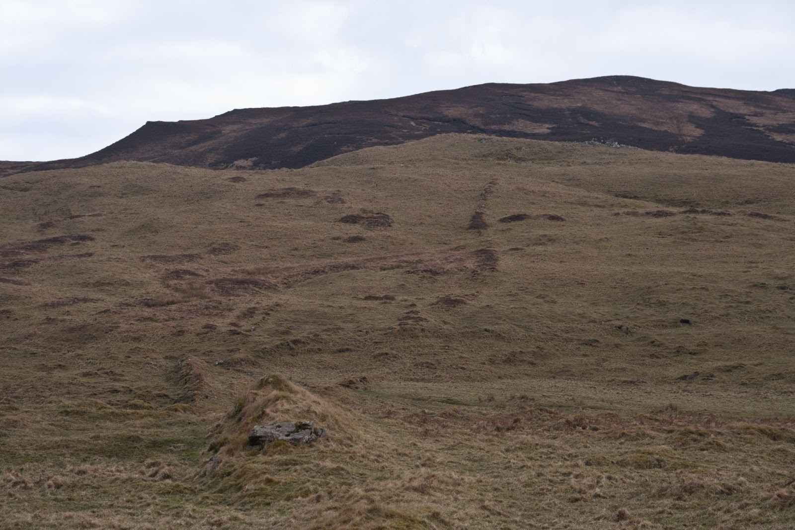 Islay Natural History Trust: Beinn Dubh Valley