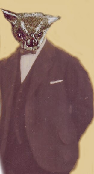 Connecting with Nature: Bats in Our Ancestry