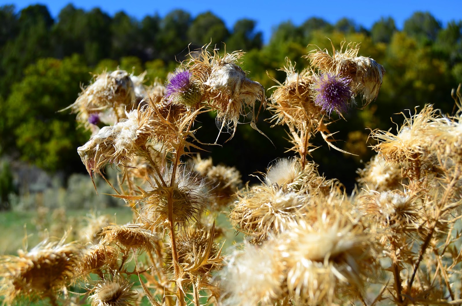 Utah Travel Headlines: Gorgeous Road Trips For Fall