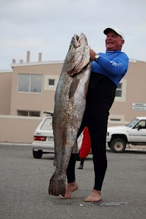 New York Life-Day by Day: SOUTH AFRICAN Family Vacations 1960's. Coffee ...