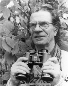 Letting Go of the Curlew