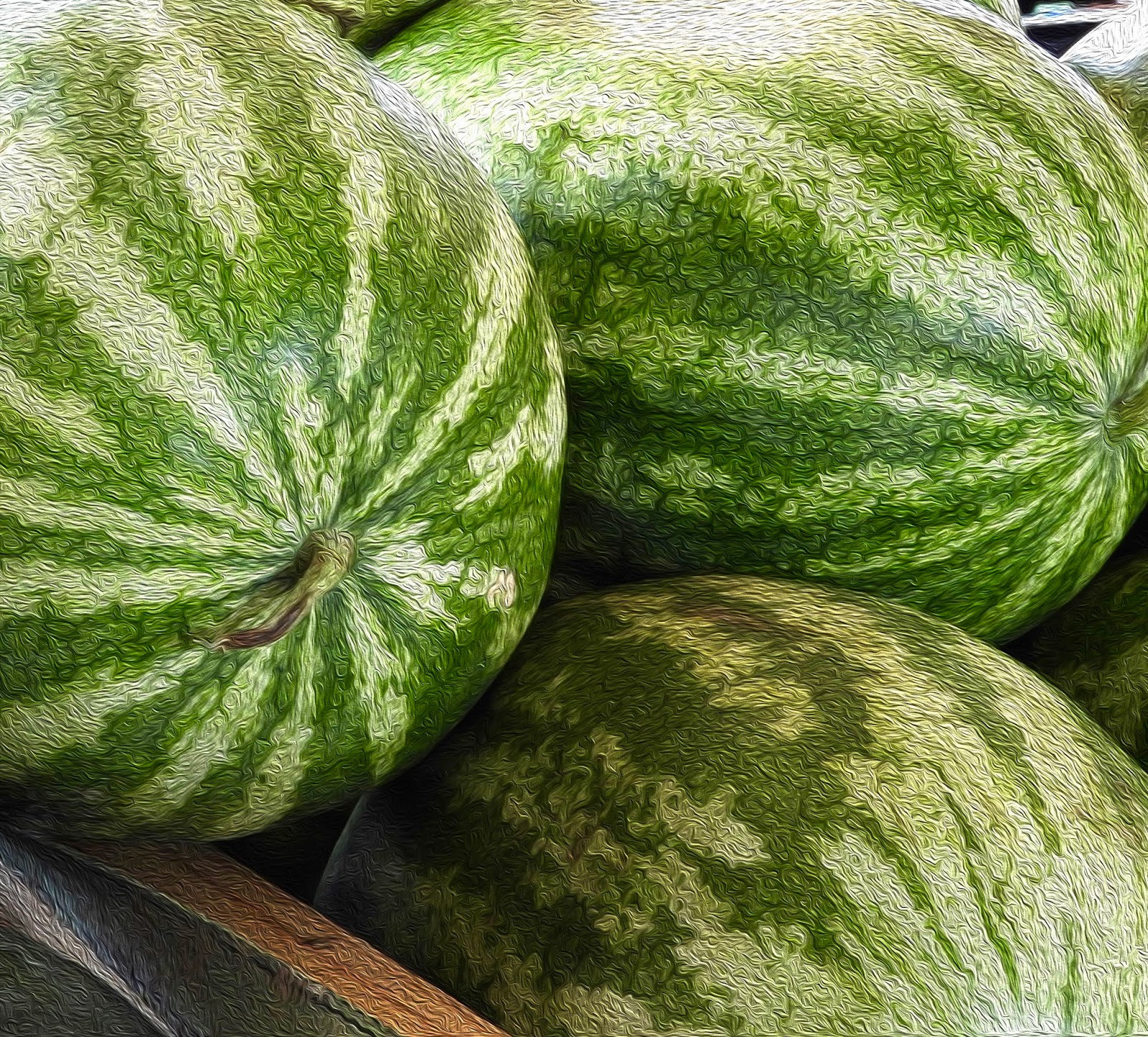 How Much Does The Largest Watermelon Weigh At Watermelon Day At The how-much-does-the-largest-watermelon-weigh-at-watermelon-day-at-the