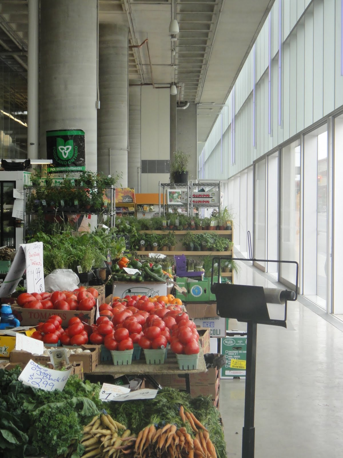 Panoptikal*: Hamilton Farmers' Market (July 5, 2011)