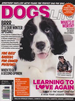 Becks and the City: Portfolio