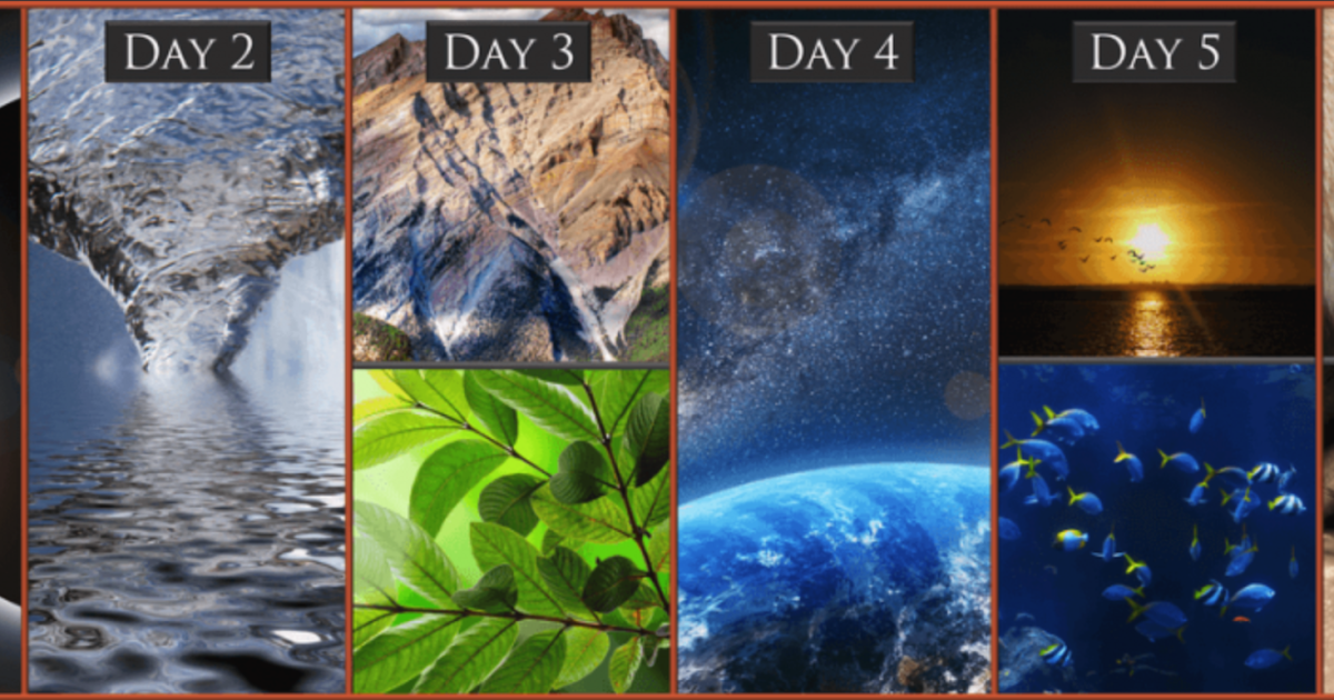 Exploring His Grace: Genesis Bible Study, Chapters 1 - 3