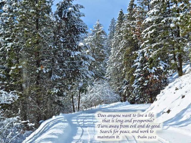 Eric Valentine's Praise Photography Blog: Nourishment