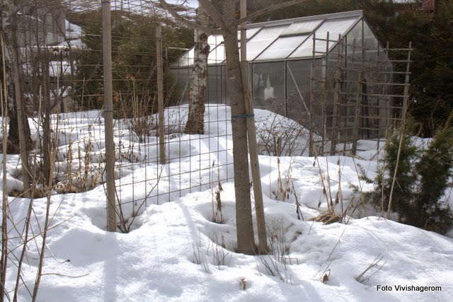 1. mai bilde fra hagen