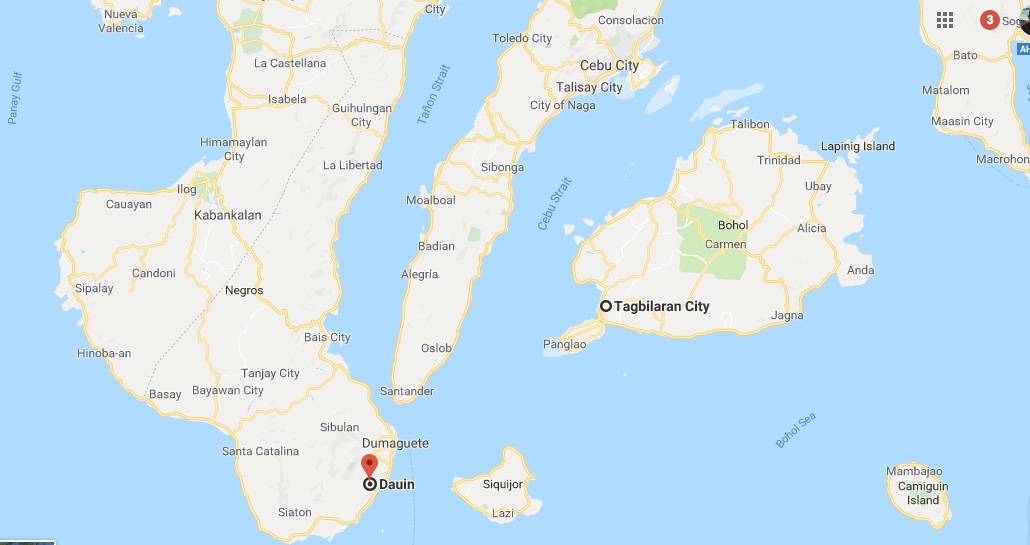 dp - new adventures: Dauin Arrival