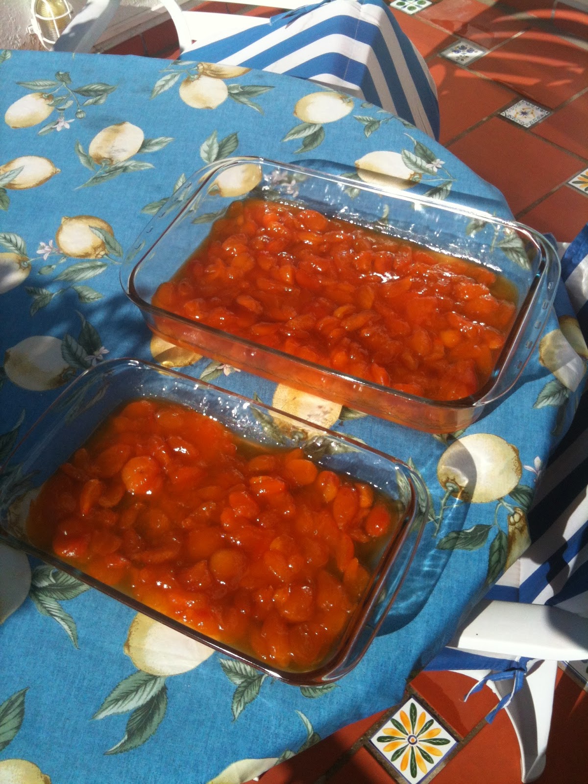 #30 "UNDER THE SUN" HOMEMADE APRICOT JAM - Syrian Recipe ~ TRAVEL ALONG!