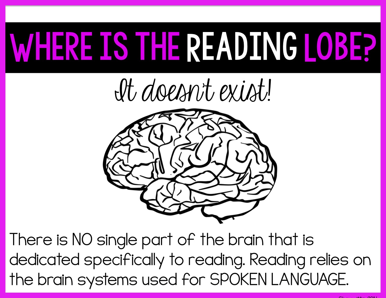 Sarah s First Grade Snippets Reading And The Brain sarah-s-first-grade-snippets-reading-and-the-brain
