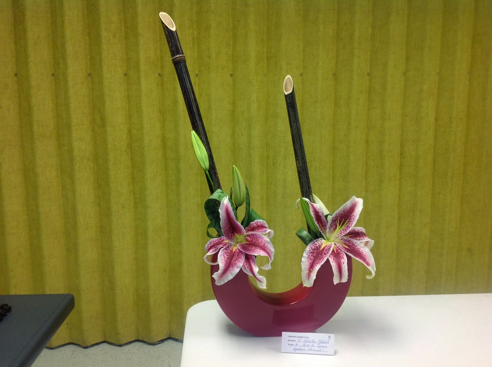 New Garden Club Journal: Spatial Thrust and creative designs