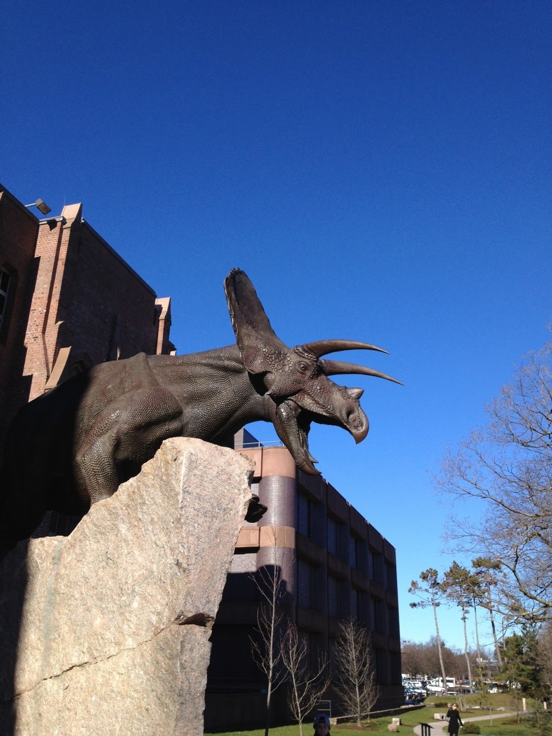 Fossils and Other Living Things: Family Matters ~ Peabody Museum of ...