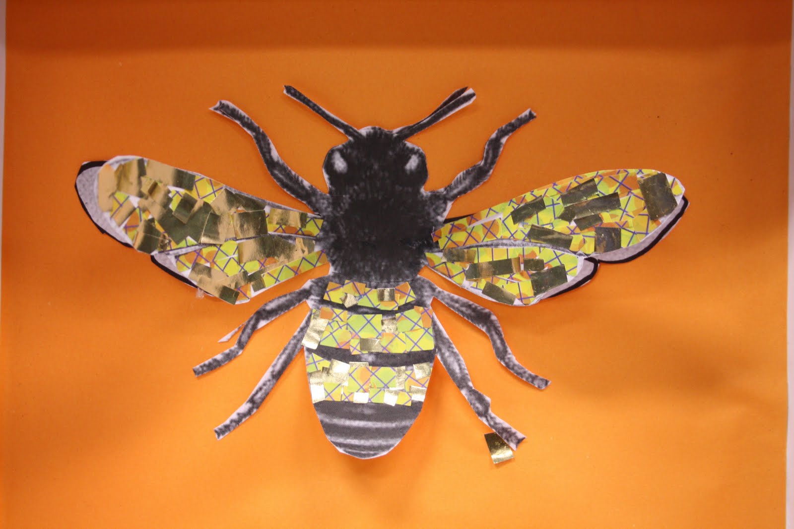 Elle and Lou: Collage art for primary children: Art meets Science