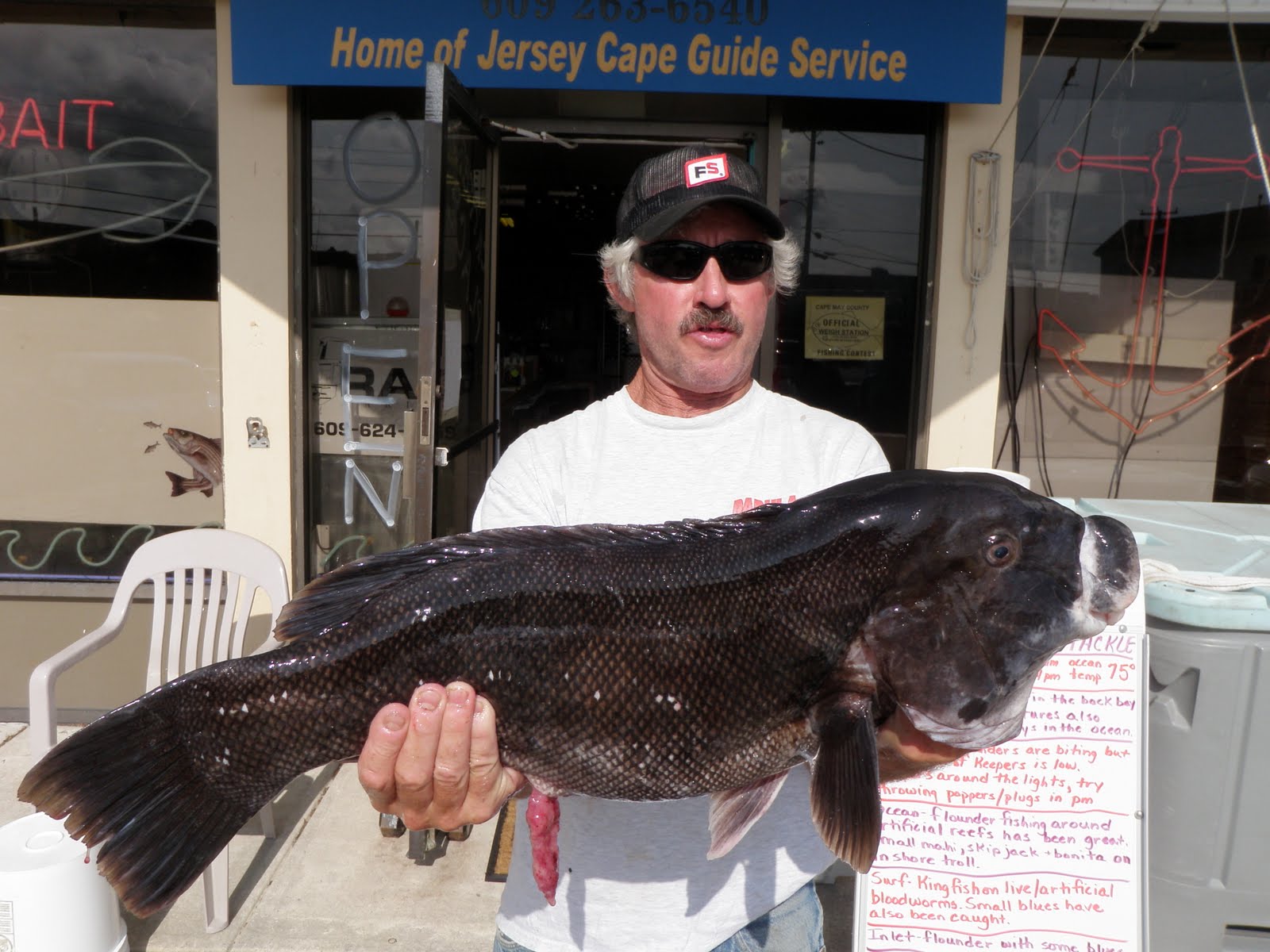 www.Seaislebaitandtackle.net: Big Tautog