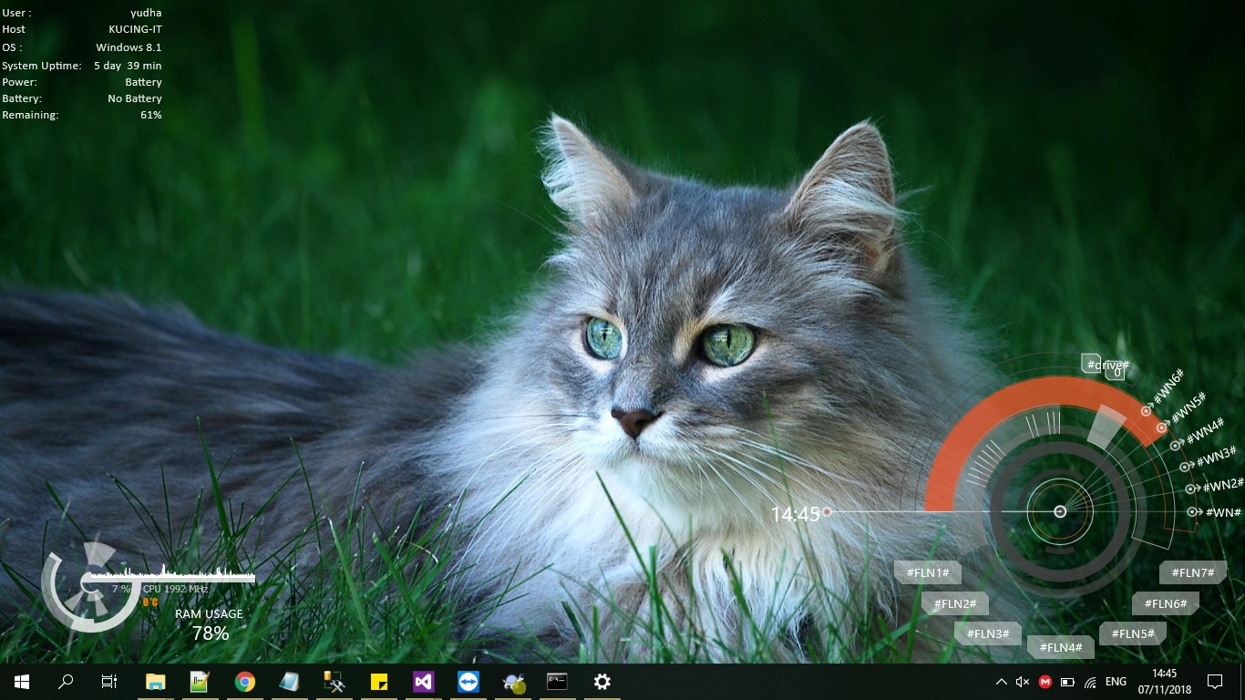 Windows 10 Dengan Tema Kucing ~ Yudha's World