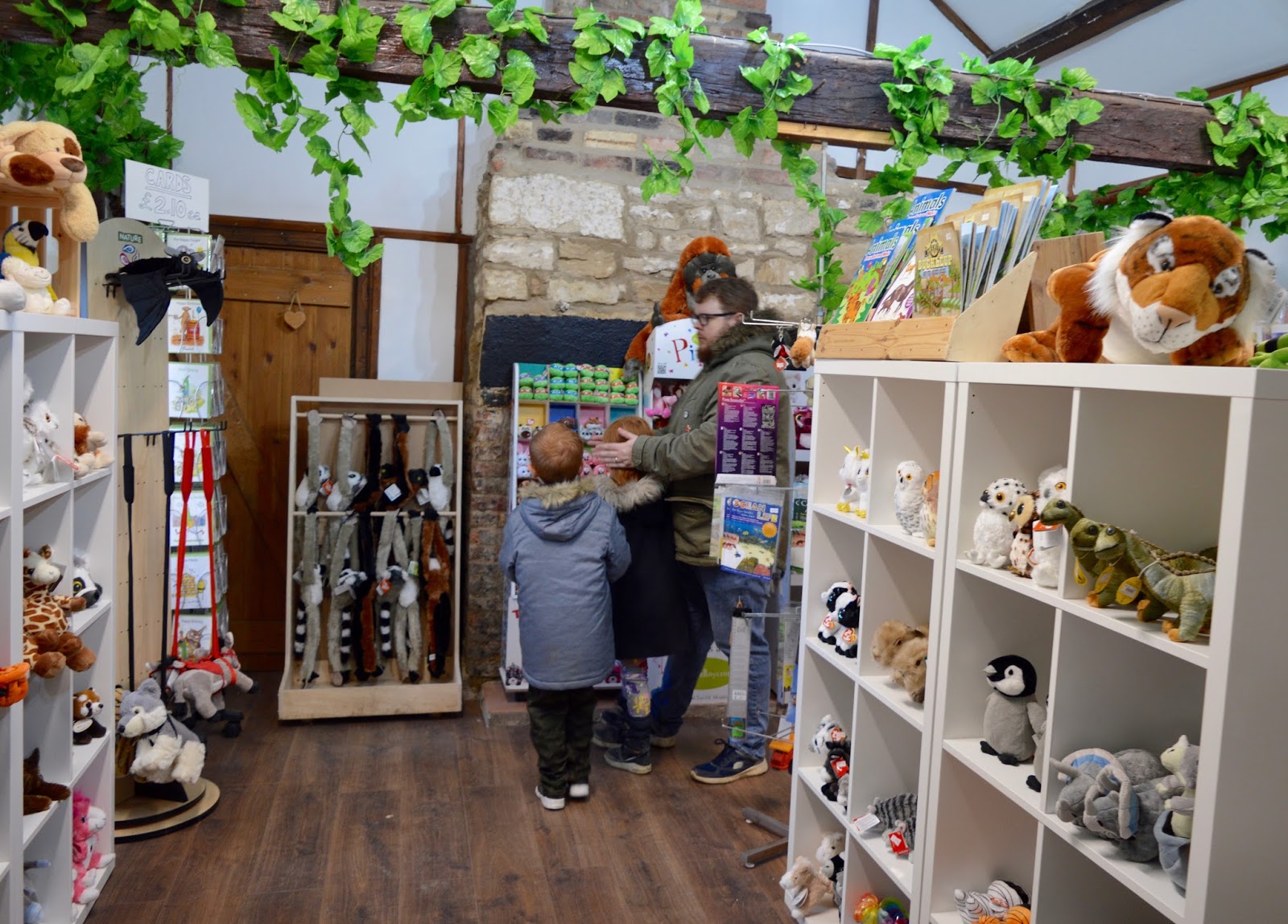 Northumberland Country Zoo Review | North East Family Fun