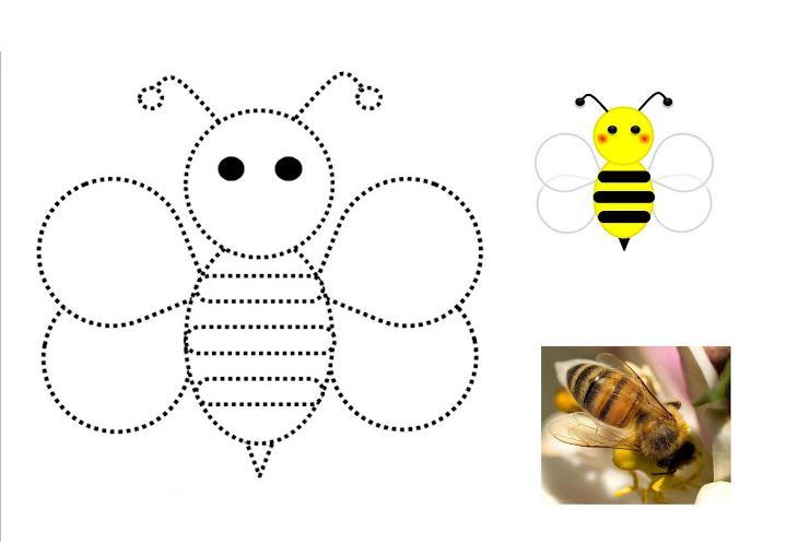 Imagenes para repasar de animales - Imagui