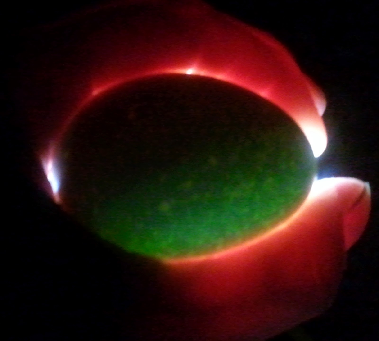 Let's Hatch Chicks! A Day-by-Day Egg Hatching Tutorial - Fresh Eggs ...