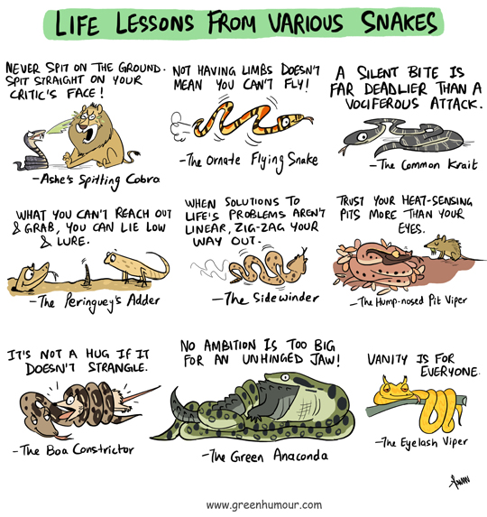 Green Humour: Life Lessons from Various Snakes