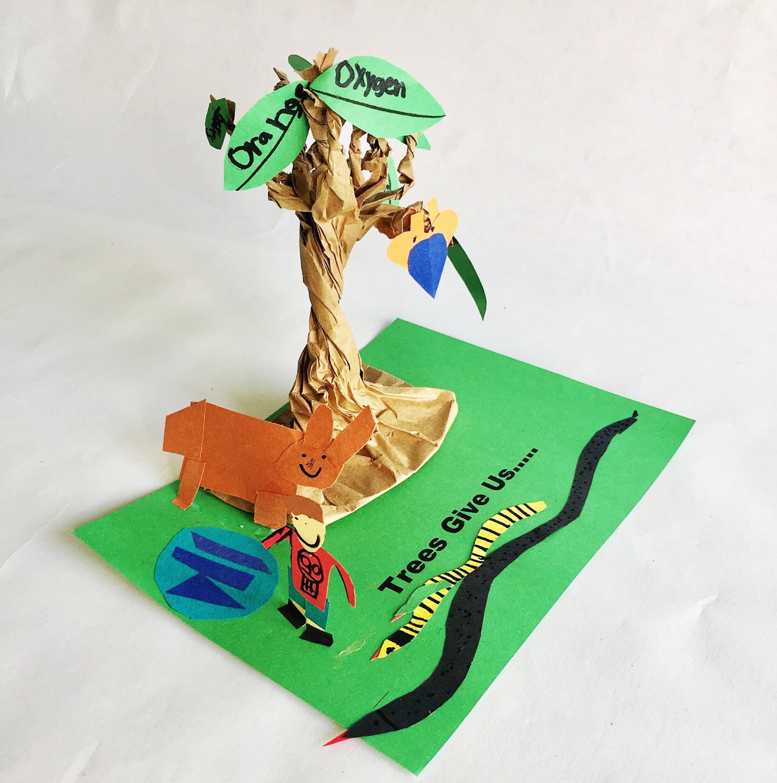 Learning About Trees - Firstieland - First Grade Teacher Blog