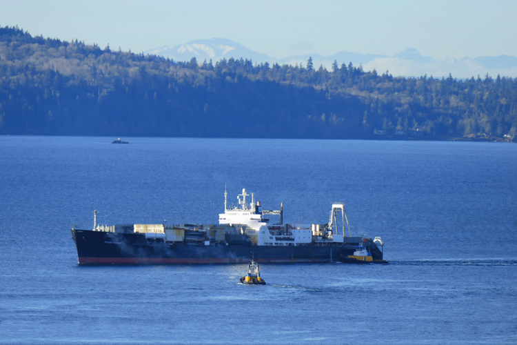 John's Island: Butterflies / Postcards / Skies / Ships