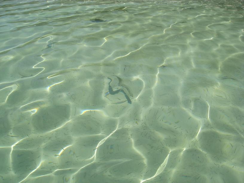 Green Turtle Cay, Bahamas: Green Turtle Cay, Abaco Bahamas