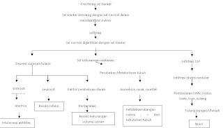 Askep Anak: LP AKUT LIMFOBLASTIK LEUKIMIA