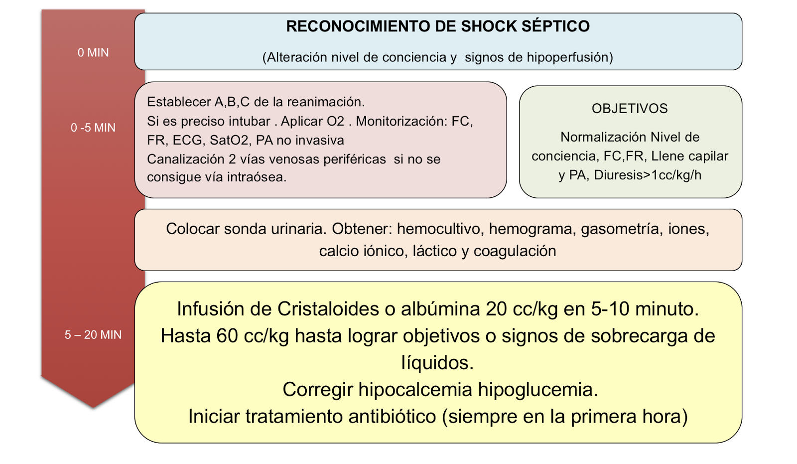 INTENSIVOS PEDIATRICOS: RESUCITACIÓN EN SHOCK SÉPTICO