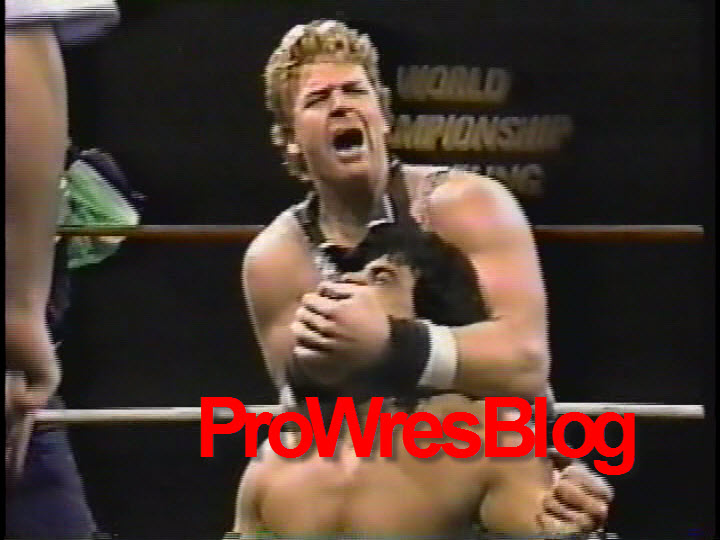 ProWresBlog: WCW Power Hour 1/19/1991 Review