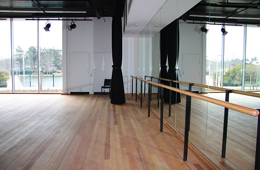 Shall we dance...Degas ~ Amore, Linguine and Me