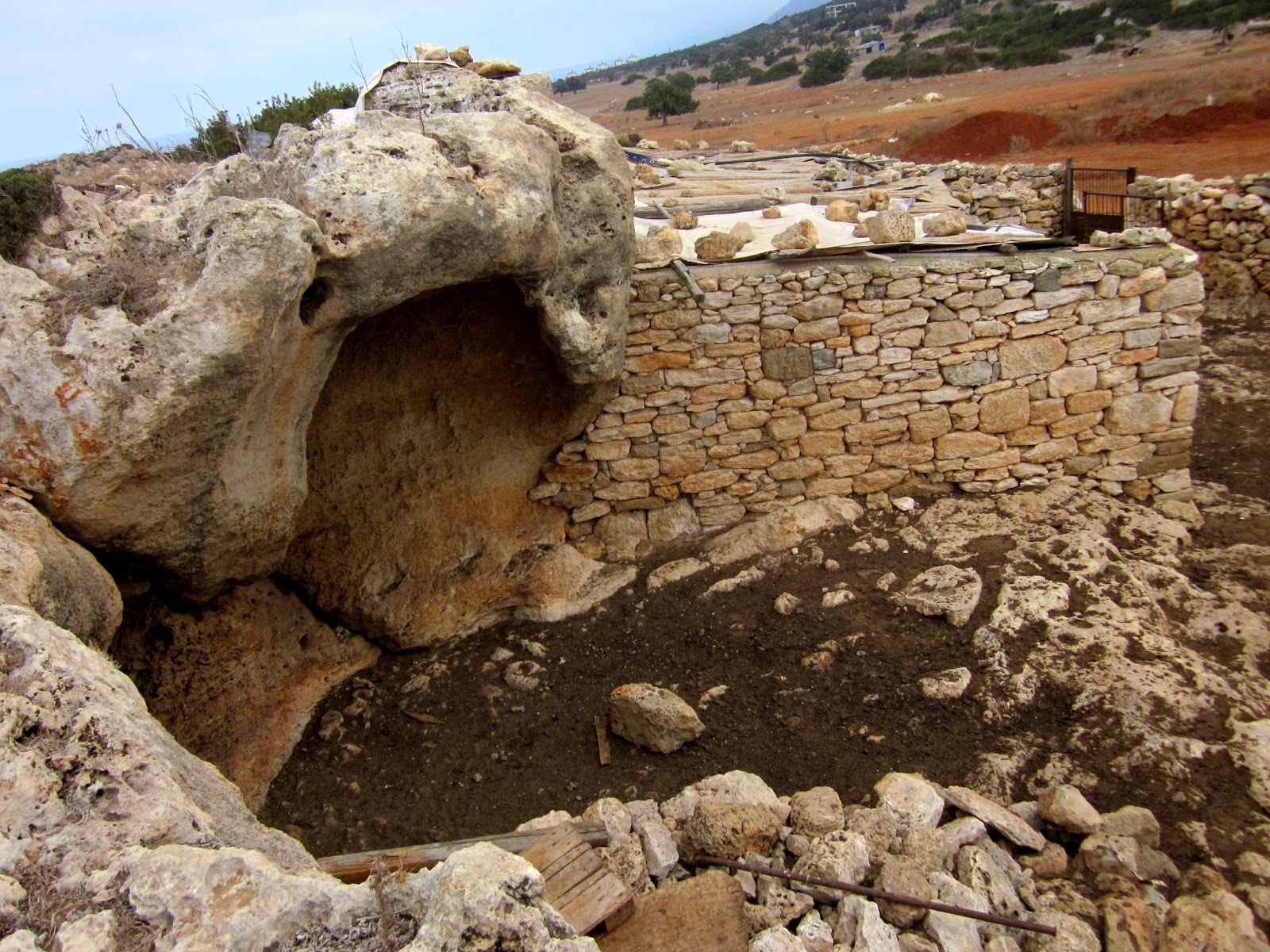 Biodiversity of Cyprus by NGO Protection of the Natural Heritage and ...