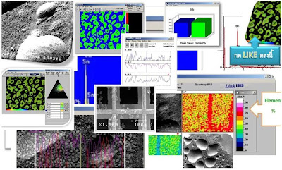 Do SEM 24 hr.: เครื่อง SEM HV Mode+EDS (High vacuum)