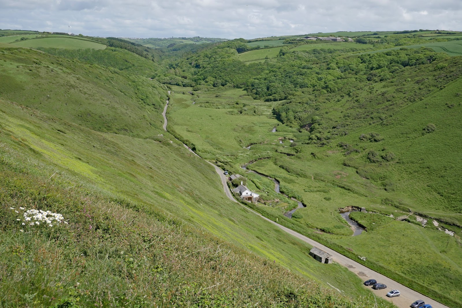 Walking in the country: Duckpool to Morwenstow (South West Coast Path 85)