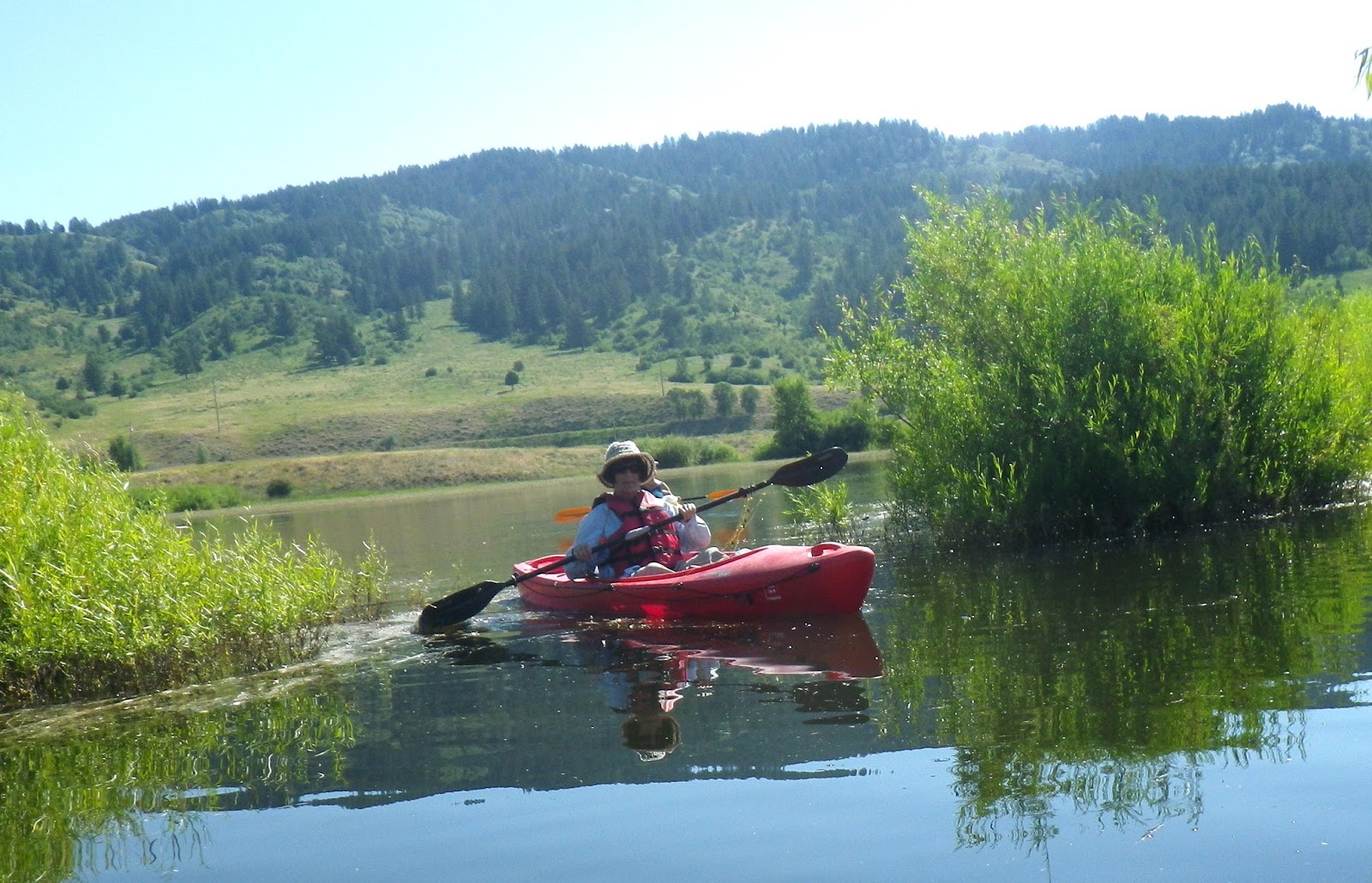 Doing It On The Road(Part II): Kayaking the Salt River Arm of Palisades
